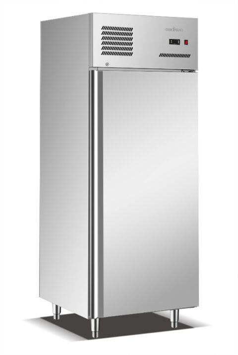 Commercial Single Door Stainless Freezer LG1DF-600 QUIPWELL